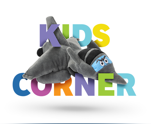 Homepage | Dassault Aviation Store