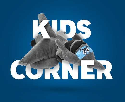 Homepage | Dassault Aviation Store